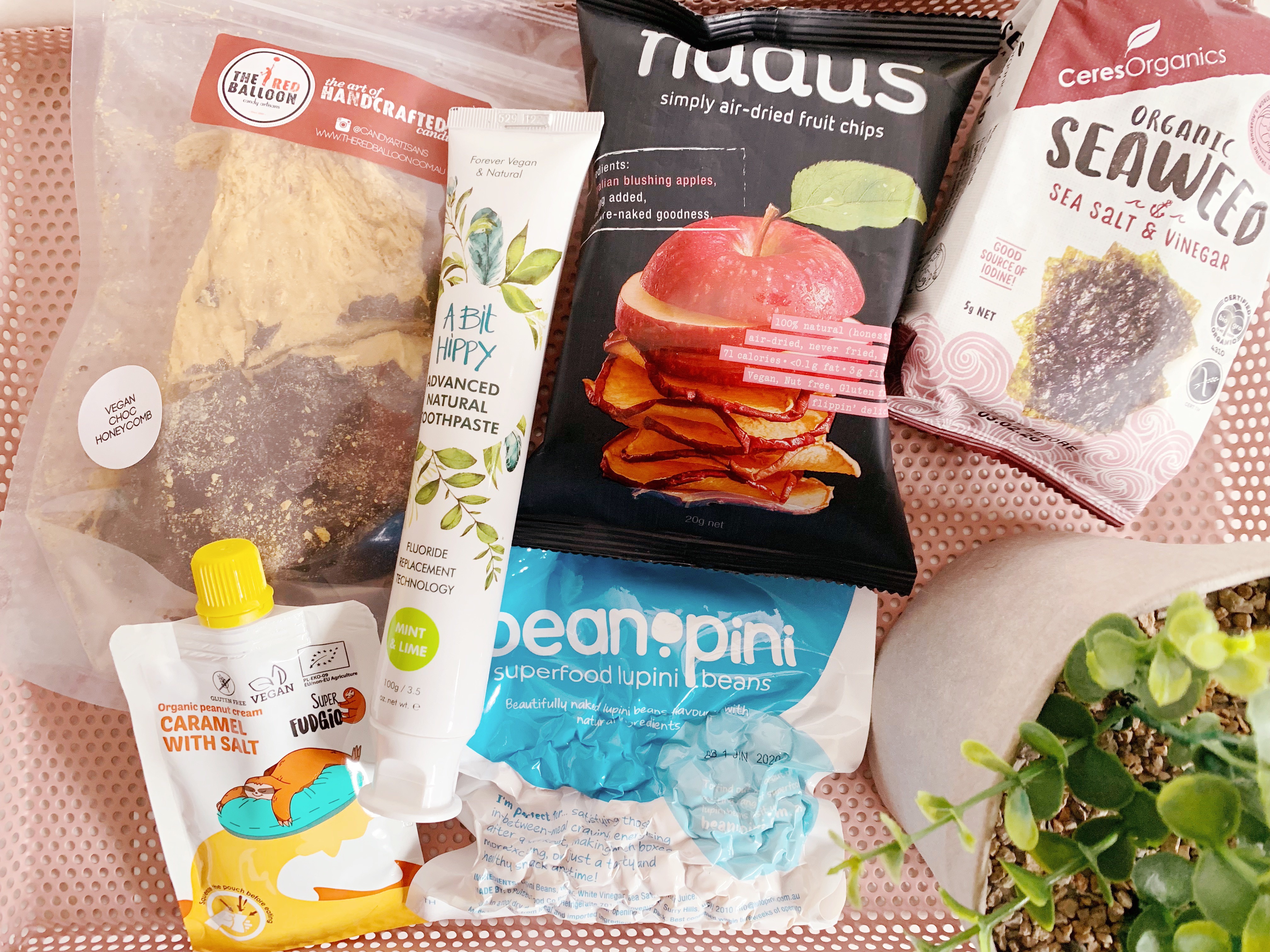 The Vegan Box – August – simplynatalielaura